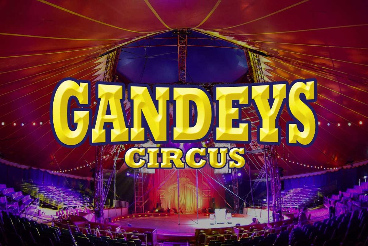 Gandeys Circus School Resources Worksheets Pdf's
