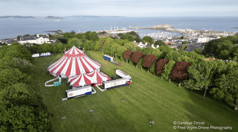 What Is A Circus? Definition, History, Acts, & Facts