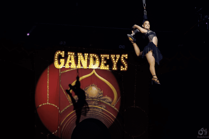 How Much Do Circus Performers Make? Look at Their Salaries