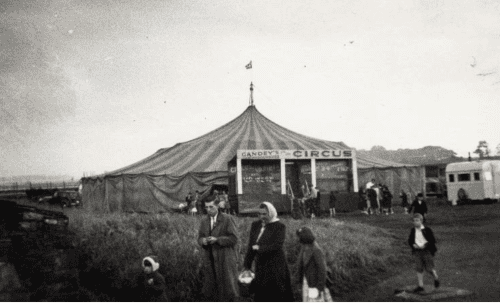 What is a Circus? An In-Depth Look at a Timeless Art Form