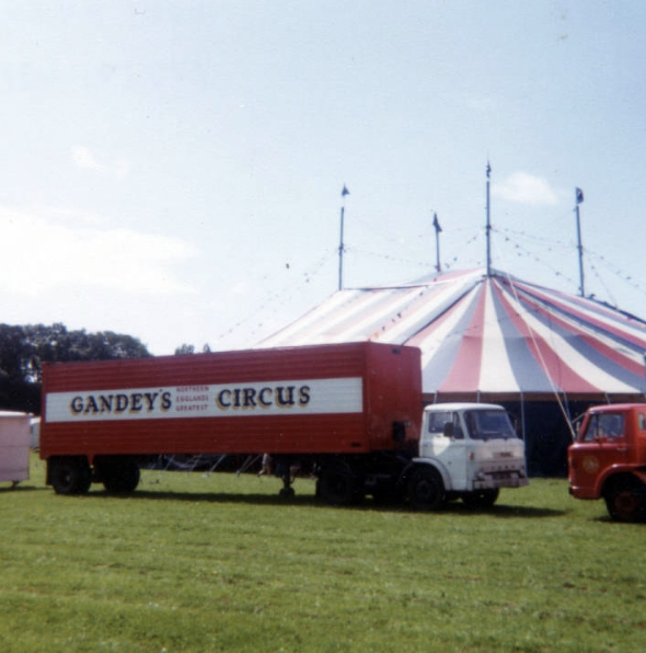 What is a Circus? An In-Depth Look at a Timeless Art Form